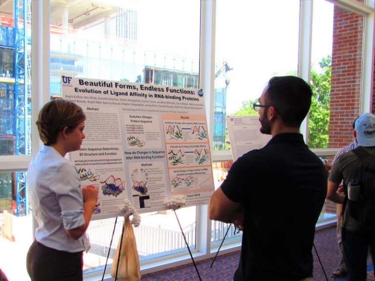 Research Excellence Program for Undergraduates